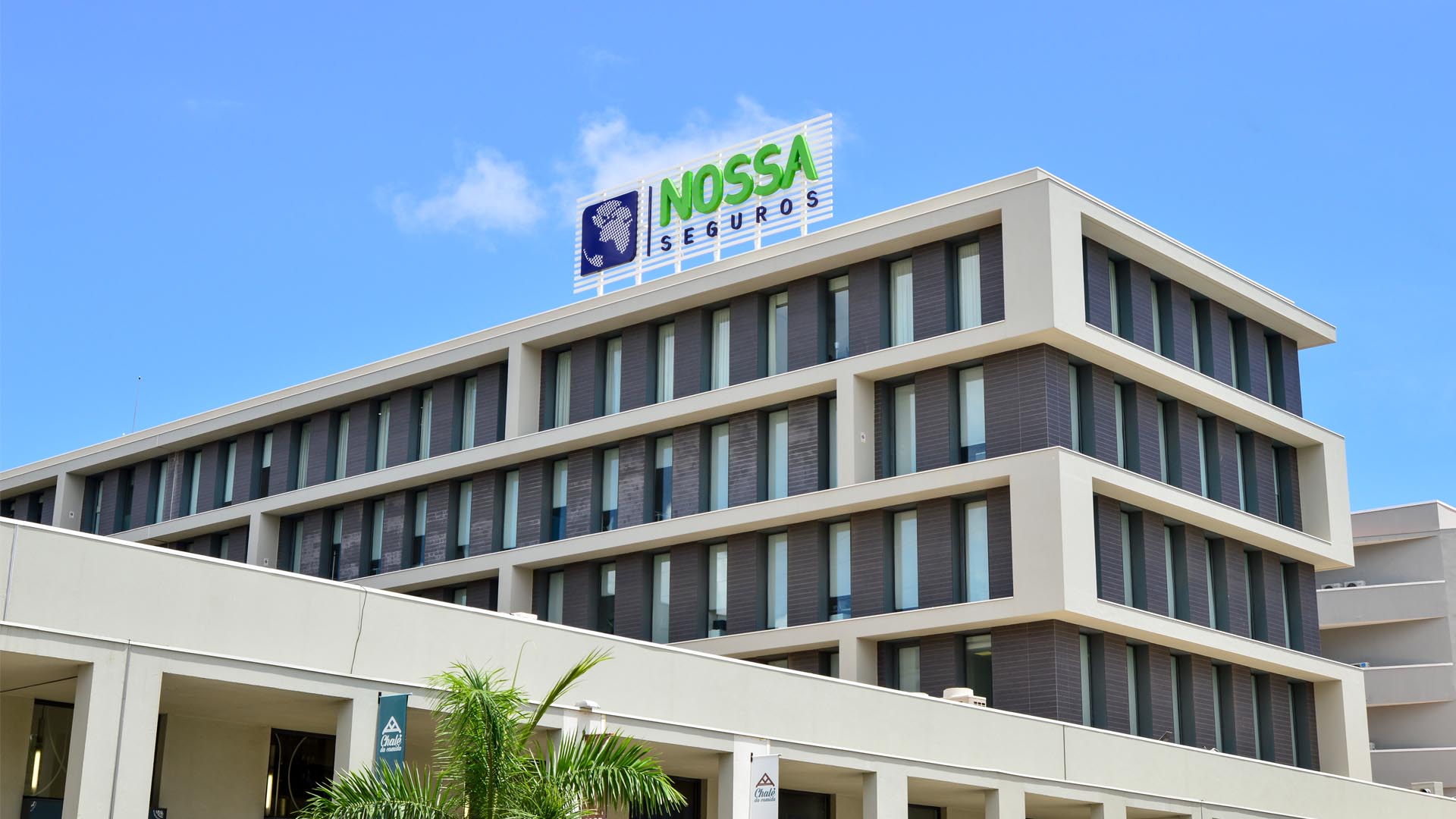 Nossa Seguros - Relatórios e Actividades